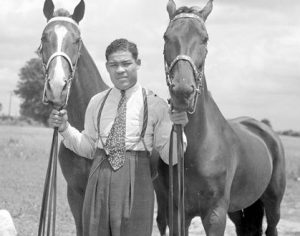 An Equestrian Center along the Joe Louis Greenway? – Detroit Greenways ...